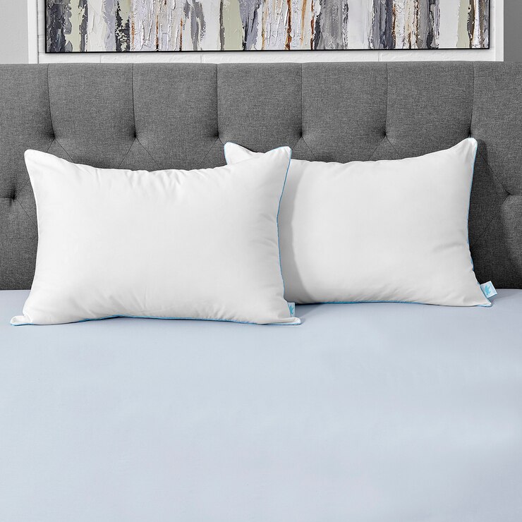 Allerease Pure, Juego de 2 Almohadas Hipoalergénicas | Costco México