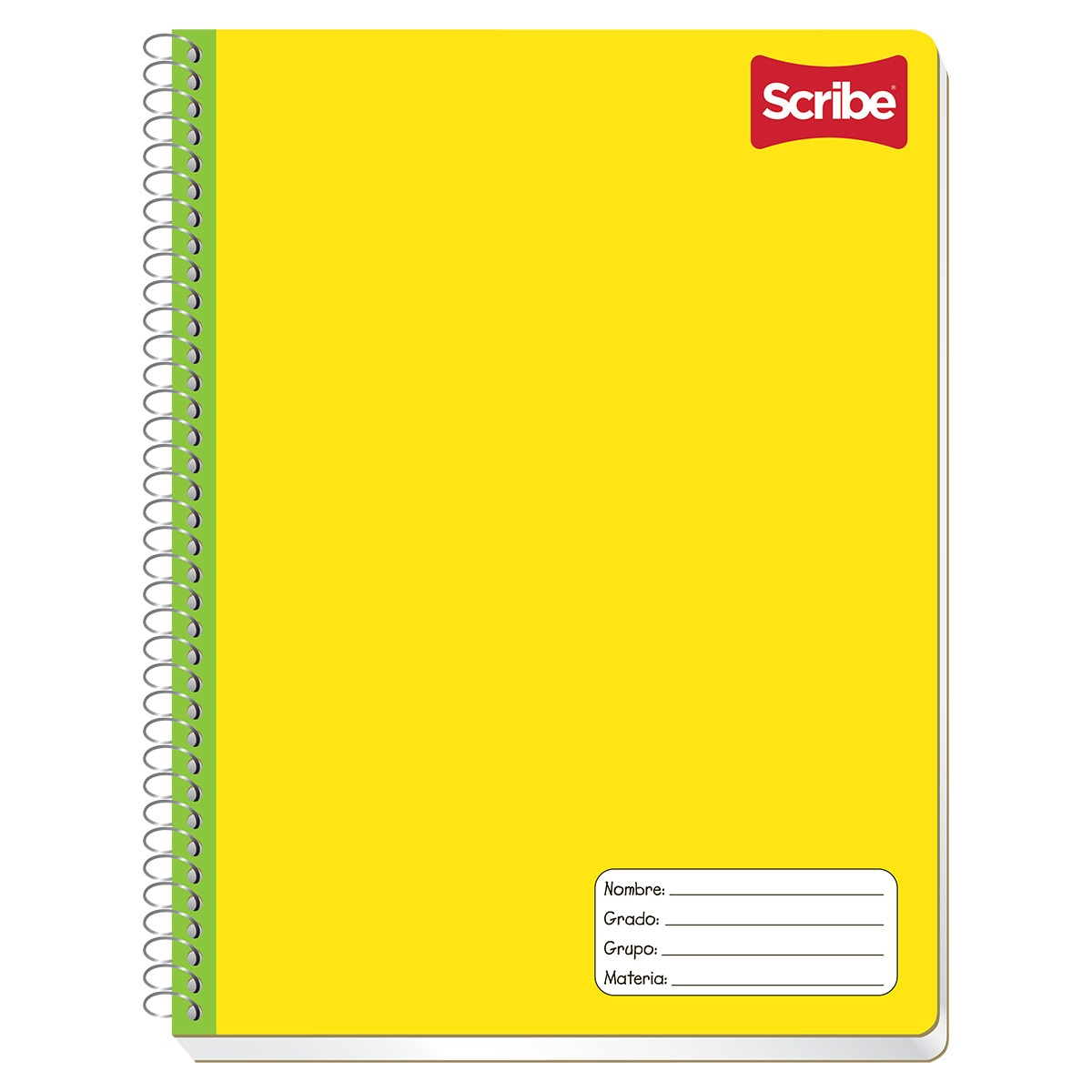 Scribe Cuaderno Profesional Raya 100 Hojas 36 Piezas Costco México
