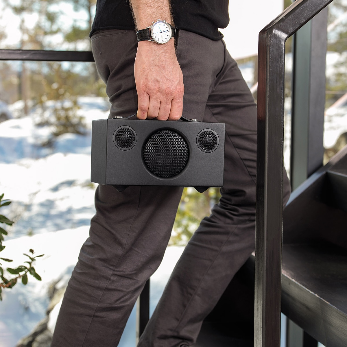 Audio Pro Addon C3 Bocina Portátil con Bluetooth - Color ...