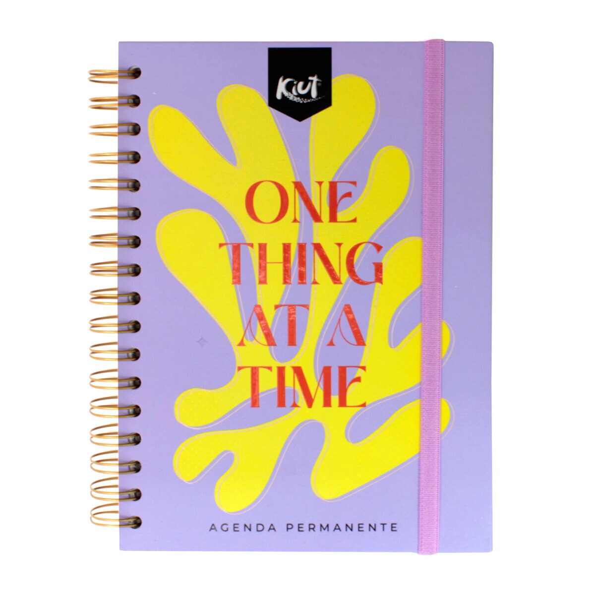 Kiut Agenda Permanente 2024 One Thing At a Time | Costco ...